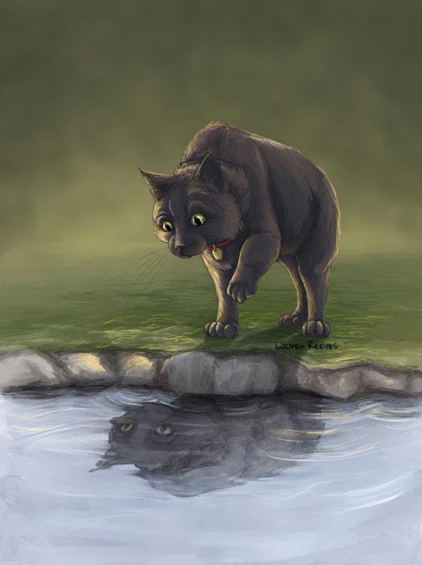 Bob Tales: Land Of The Woody Warbles